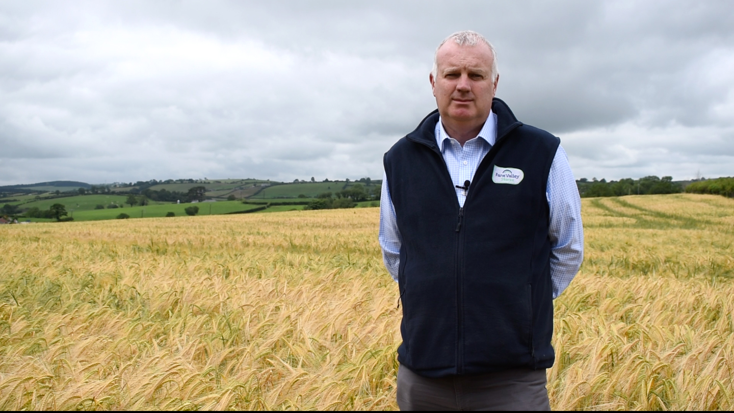 Growing grain for wholecrop. - Fane Valley