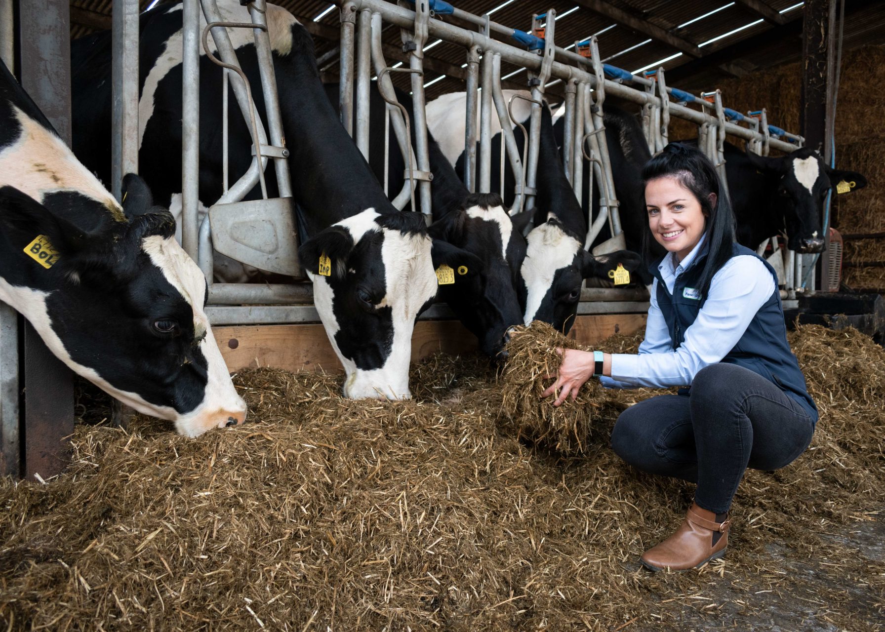 Unlock The Full Potential For The Next Lactation - Fane Valley