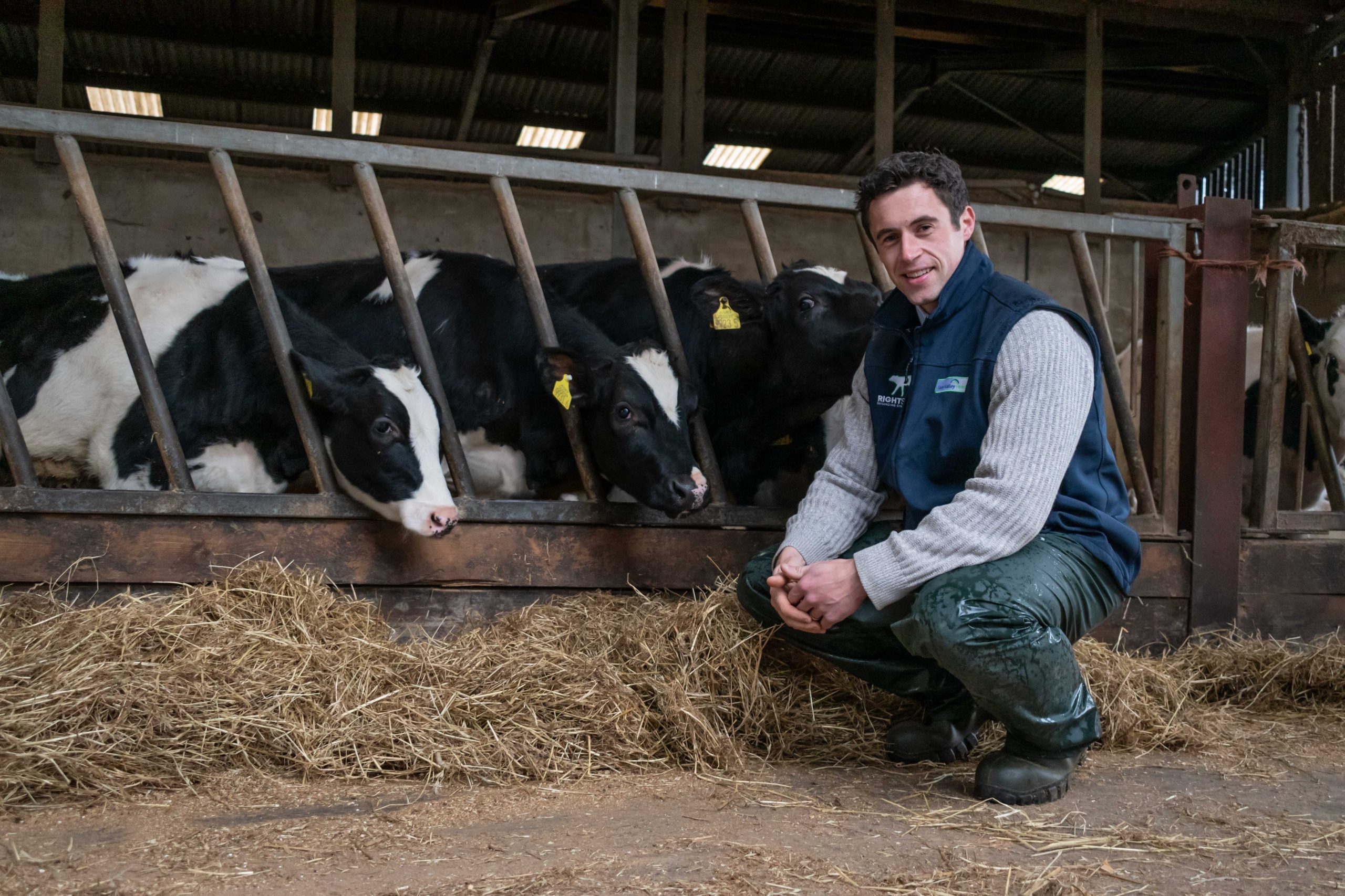 Planning For The Future of Your Dairy Replacements. - Fane Valley