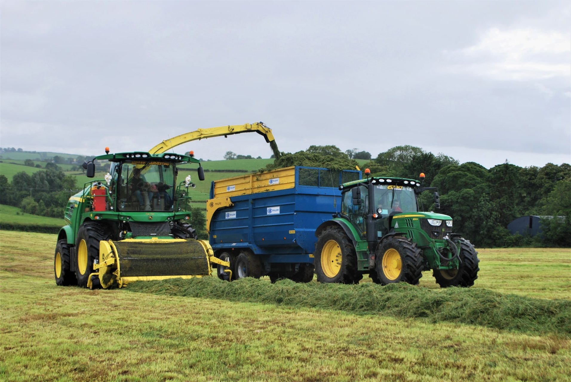 Fane Valley Forage Farm Walks. - Fane Valley
