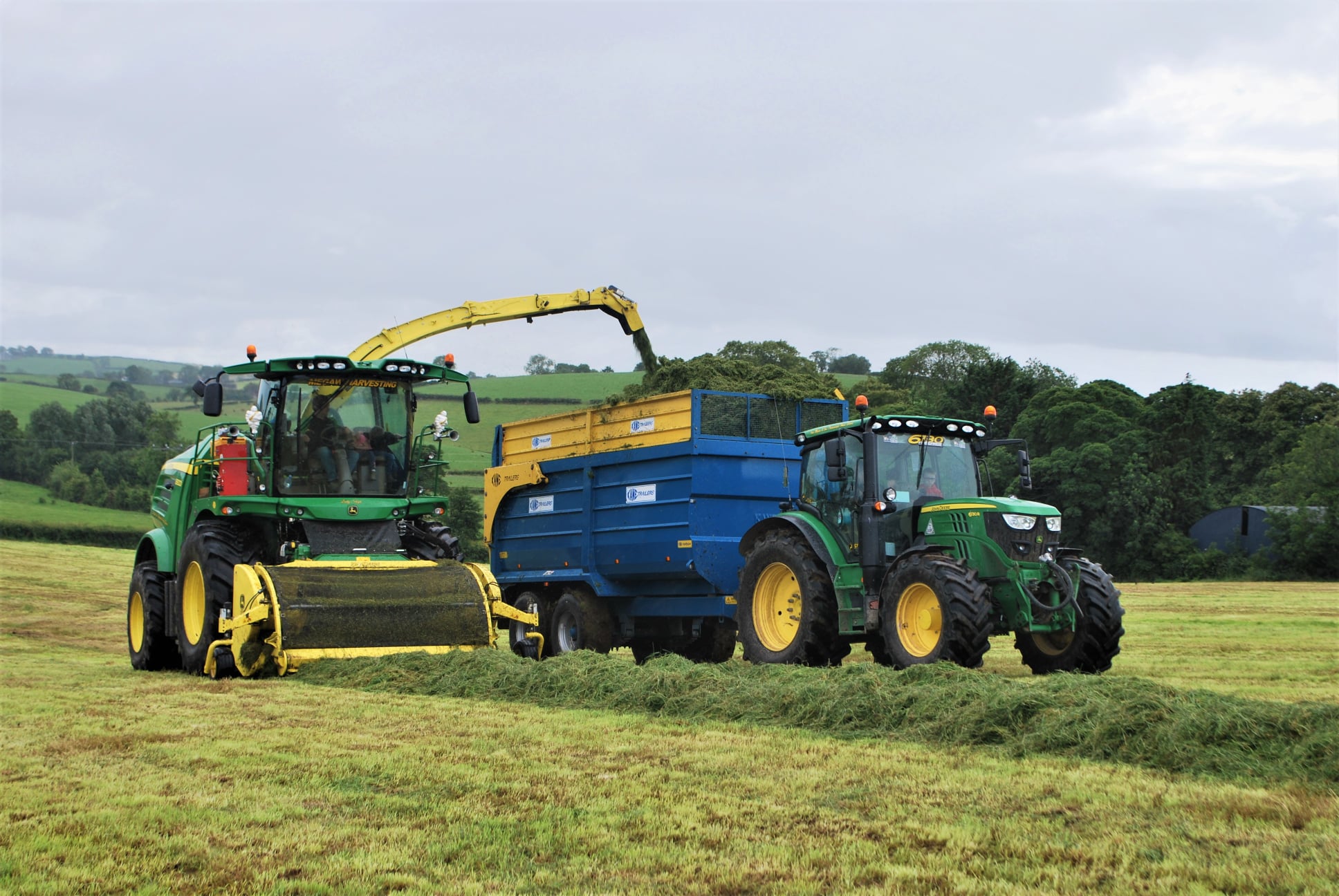 Fane Valley Forage Farm Walks. - Fane Valley