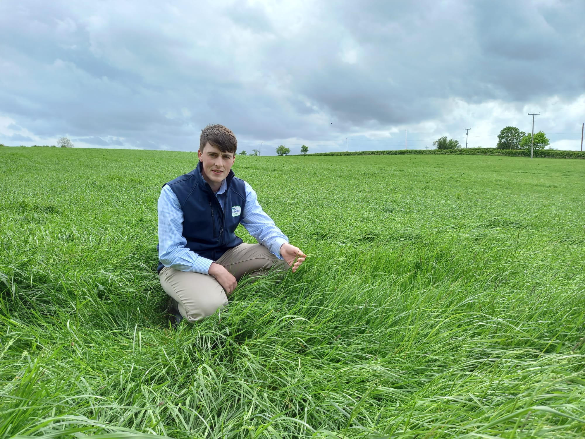 Growing More Grass Through Reseeding. - Fane Valley