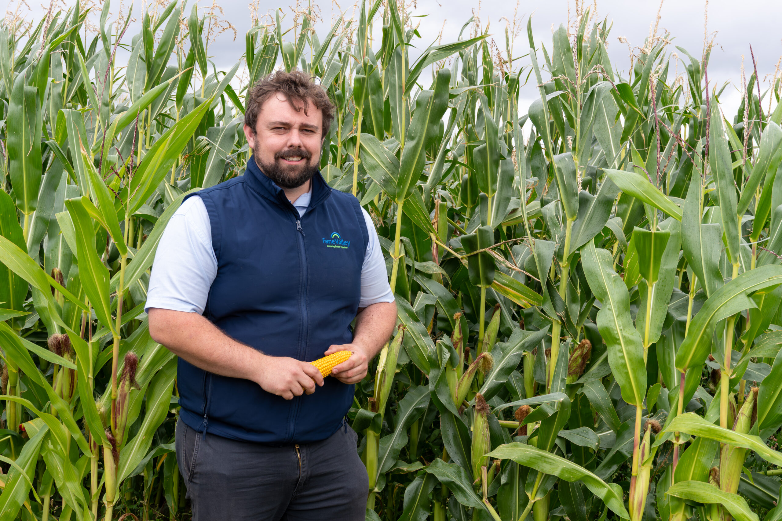Get Ready for Maize Harvest - Fane Valley