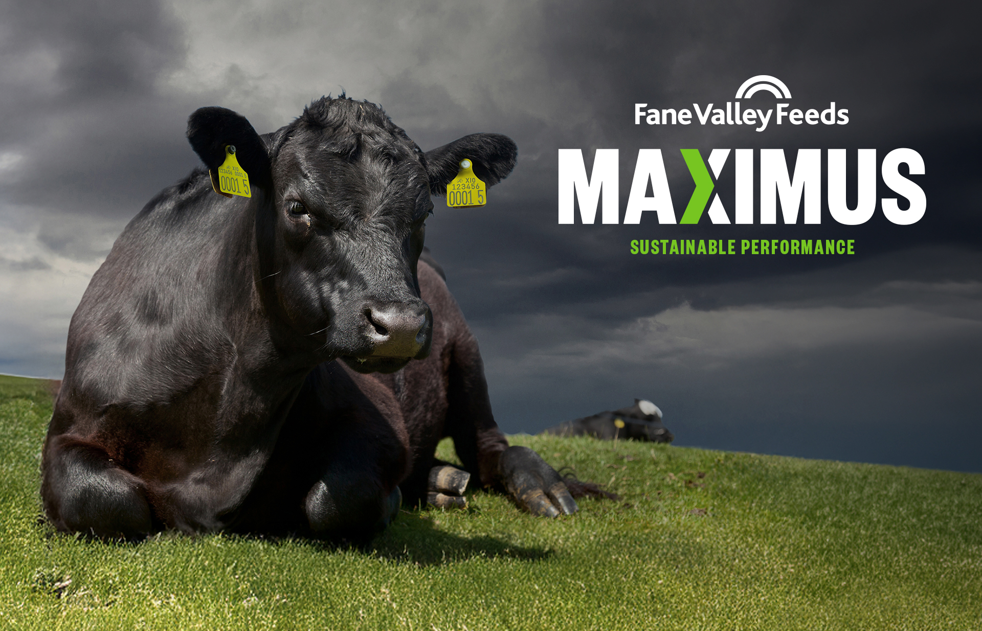 Fane Valley Feeds Launch MAXIMUS – Performance Through Precision ...